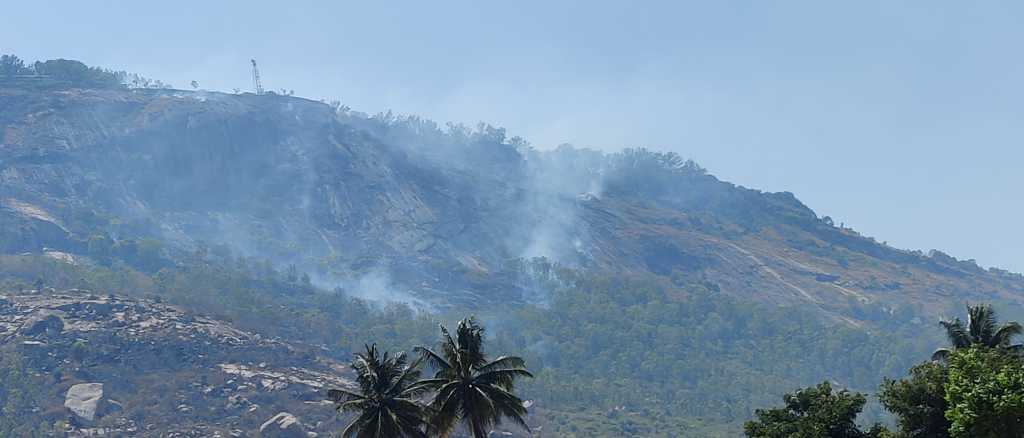 Major fire atop Nandi Hills destroys hundreds of trees and plants ...
