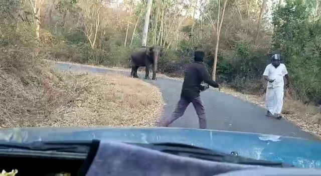 Two-wheeler rider has lucky escape after encountering elephant on road ...
