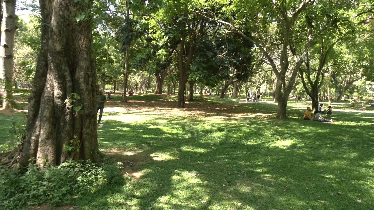 Walkers' Association raises objection to construction activity in ...