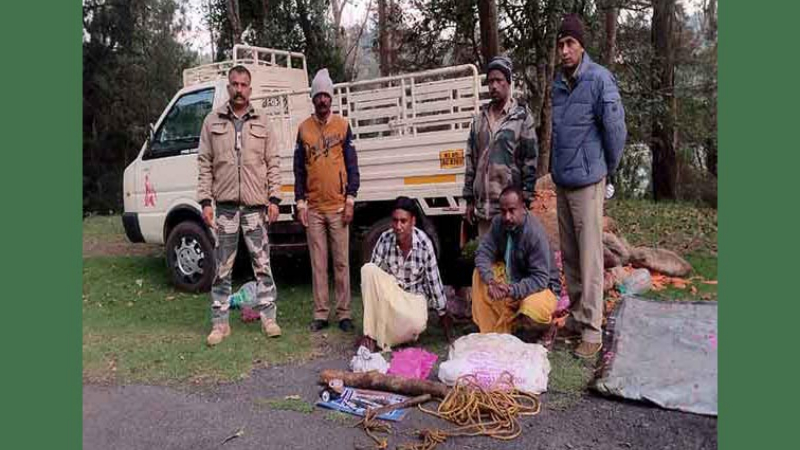 Two arrested for killing bison near Udhagamandalam; Forest dept on ...